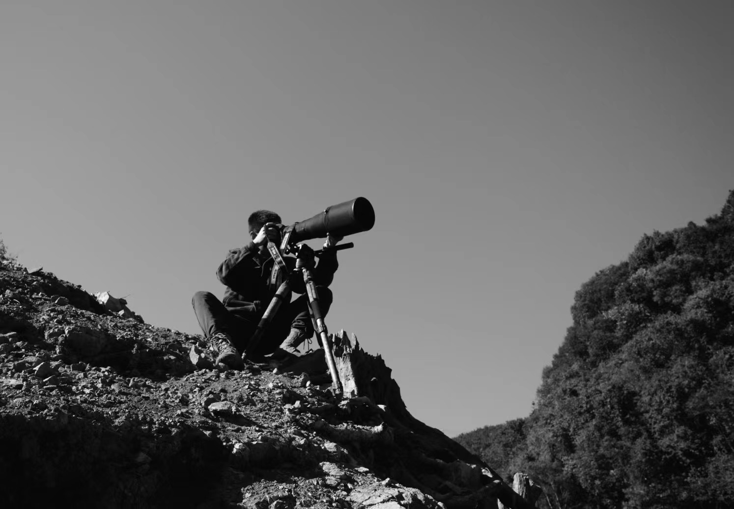 Zhenqi Wang 王臻祺 – Laboratory of Animal Behaviour and Conservation