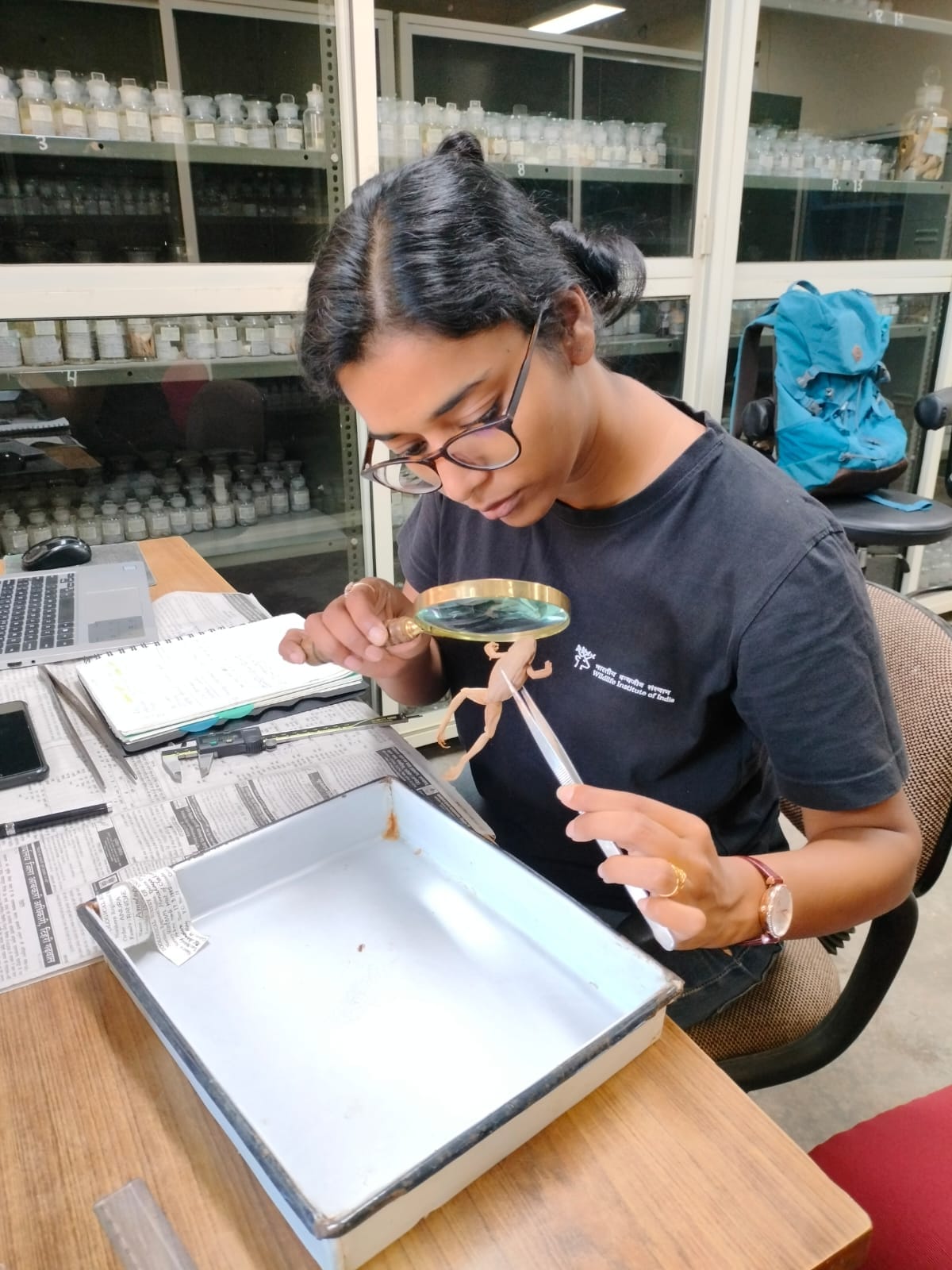 Abhilasha Shrivastava – Laboratory of Animal Behaviour and Conservation